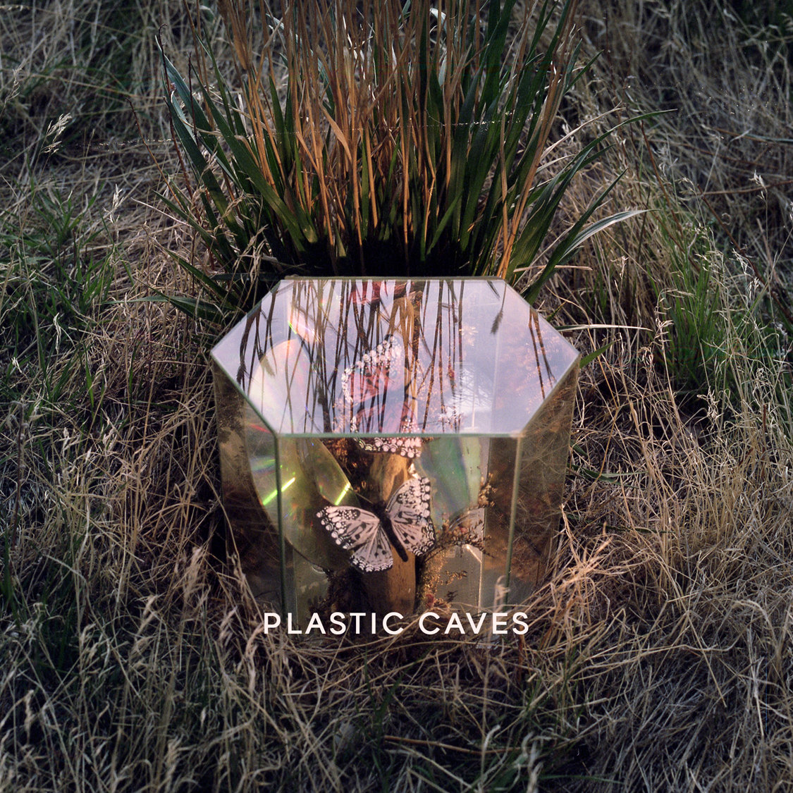 Plastic Caves | Plastic Caves | Intruder Alert! Intruder Alert! Record ...