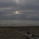 Lazarus Bird | Burst