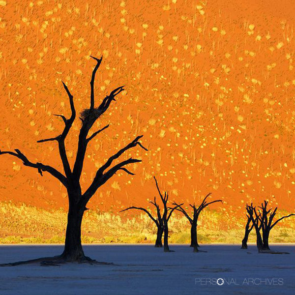 Blast the Past | Bob Bucko Jr