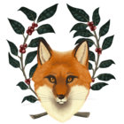 The Toad Alchemy | Tales Under The Oak