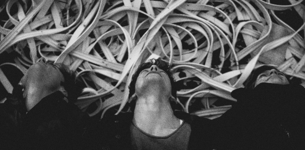 Lions | Shaky Foundation