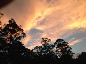 Music | Ewan MacKenzie