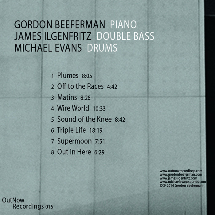 Out In Here | Gordon Beeferman Trio | OutNow Recordings