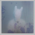 Windowlicker | Aphex Twin