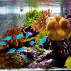 Telepathic Minds | Overhead