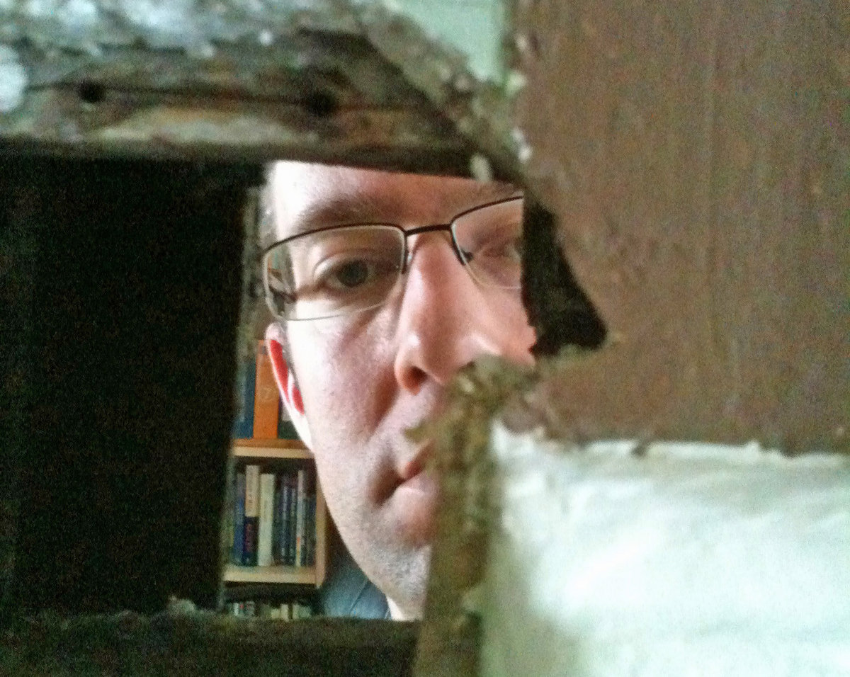 Theories of Creation (2008) | Mothers of the Lower East Side | Mike Rifkin