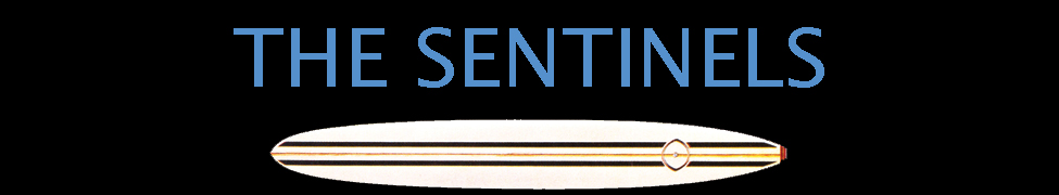 Dynamic Ribbon Device | The Sentinels