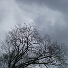 Amlux (20th Anniversary Edition) + Bonus Tracks | Merzbow