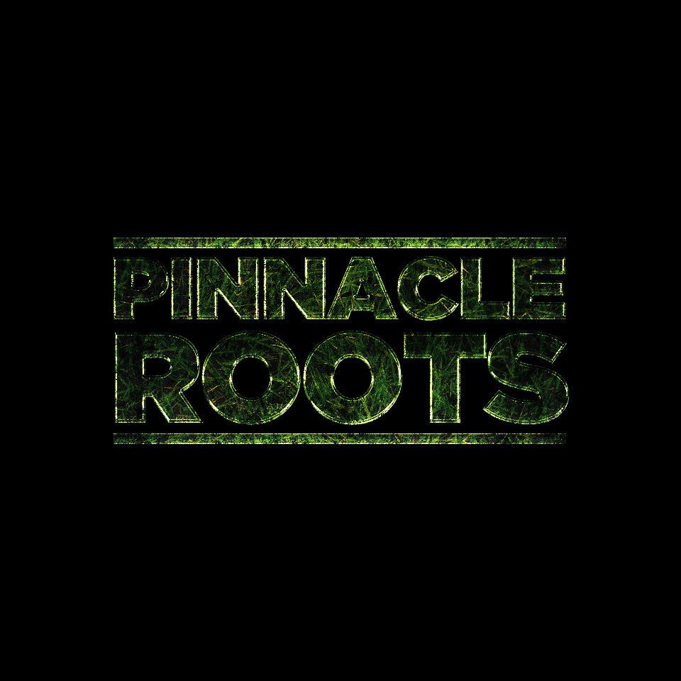 Late Arrival EP | Reminiss | Pinnacle Roots
