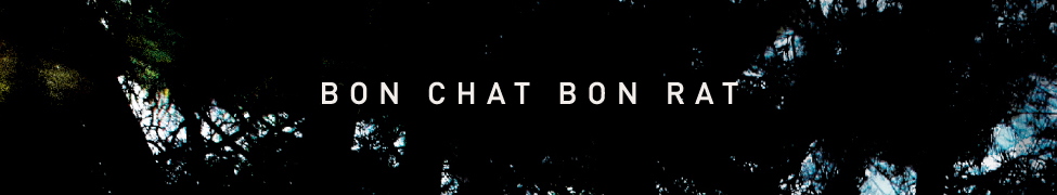 Burning Palms | Bon Chat, Bon Rat