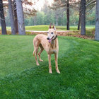 The Terminus Isolation Tracks | Eric Gottesman with Jamie Cronander ...