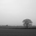 Spiderland (remastered) | Slint