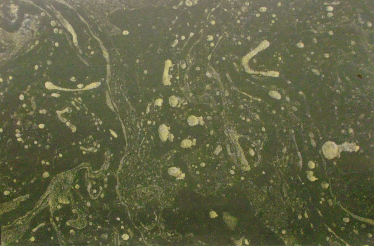 Electric Dream | Michael Cottle