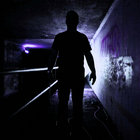 Wild Light | 65daysofstatic | Bird's Robe Records