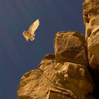 Slipstream | Jordan F | Rosso Corsa Records