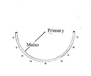Music | Mulso Primary Records