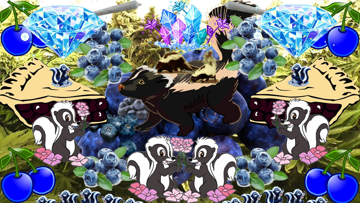 Music | Blueberry Skunk