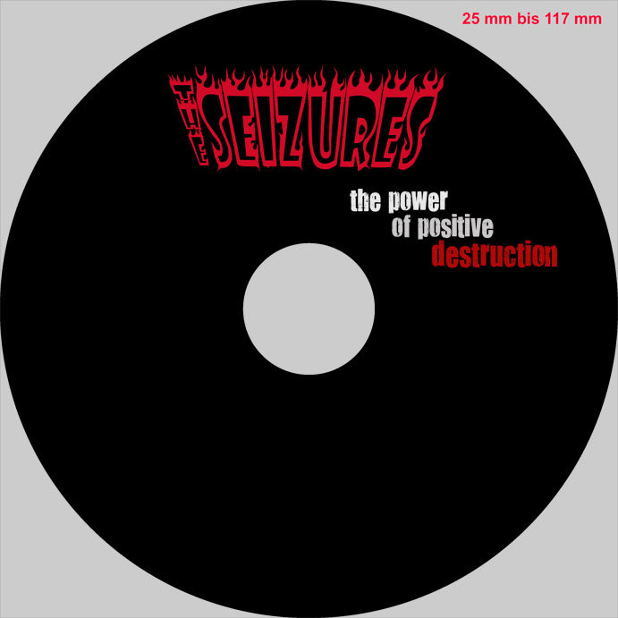 the power of positive destruction | The Seizures