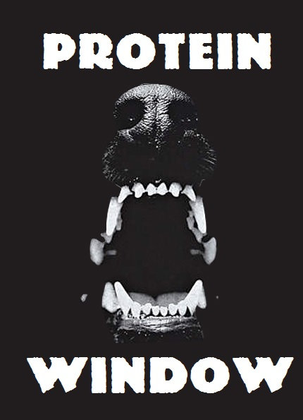 Live at Max's Garage | Protein Window