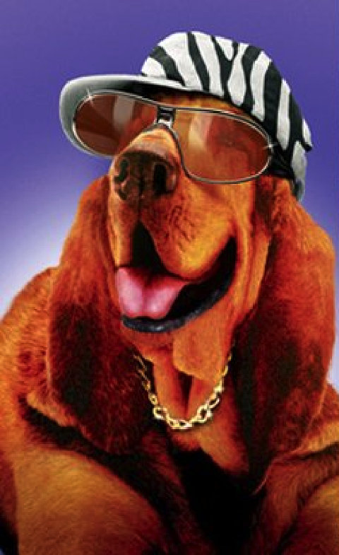 SAMPLES | The Boom Dogs