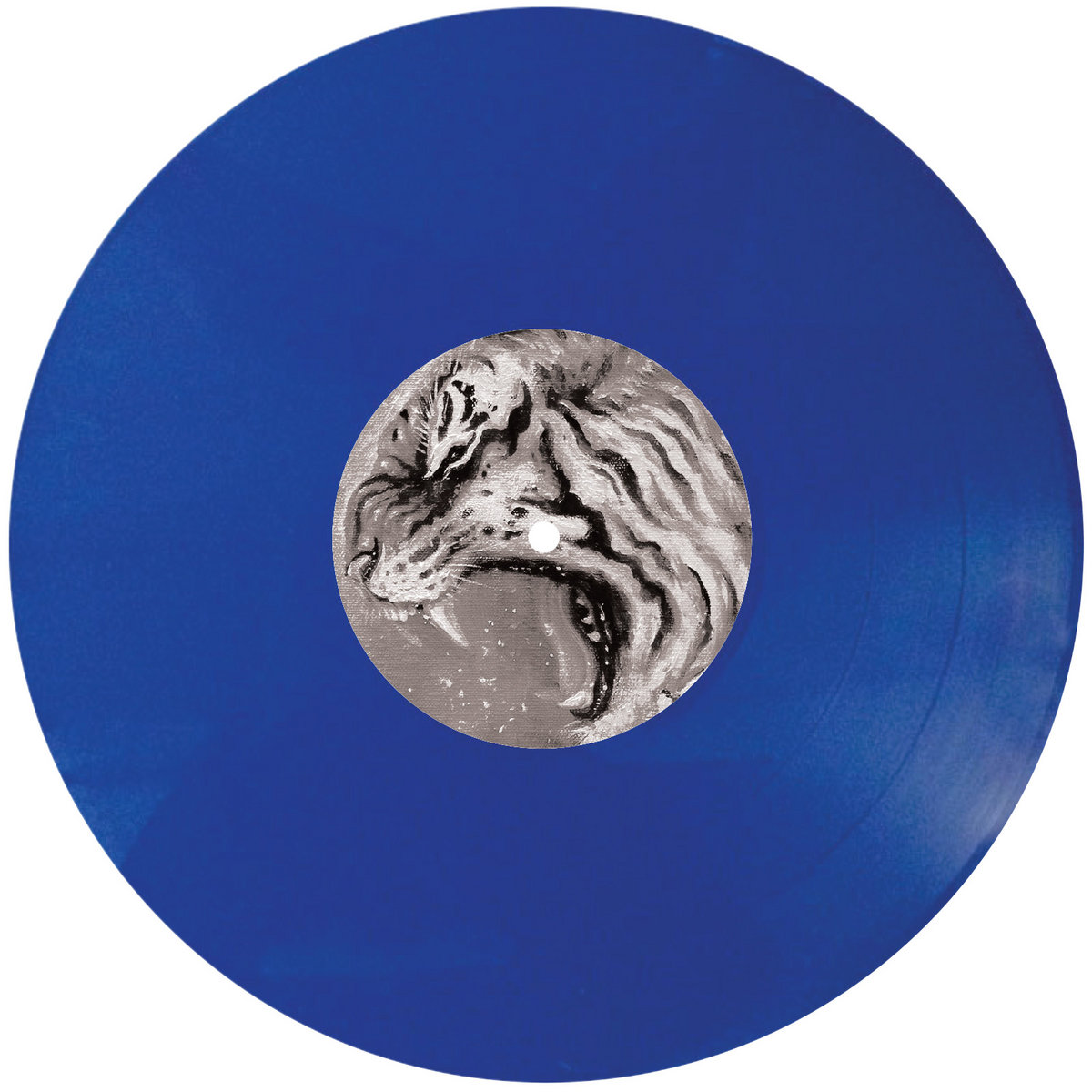 Hungry Tiger | Hungry Tiger