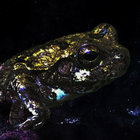 R64 [Nintendo 64 music album] | Remute