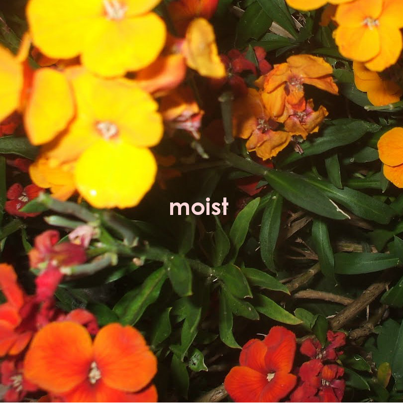 Moist live stuff | Moist | MOIST