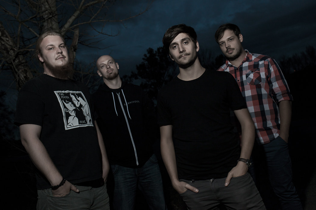 Owls on the Hunt | Millhouse