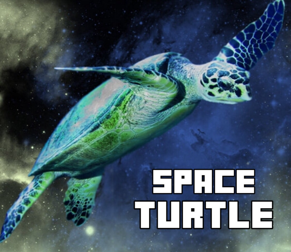 Adventures on Robot Island | Space Turtle