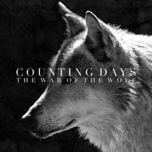 Merch | Counting Days