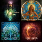 Critical Beats for Gaia | Earthdance Music