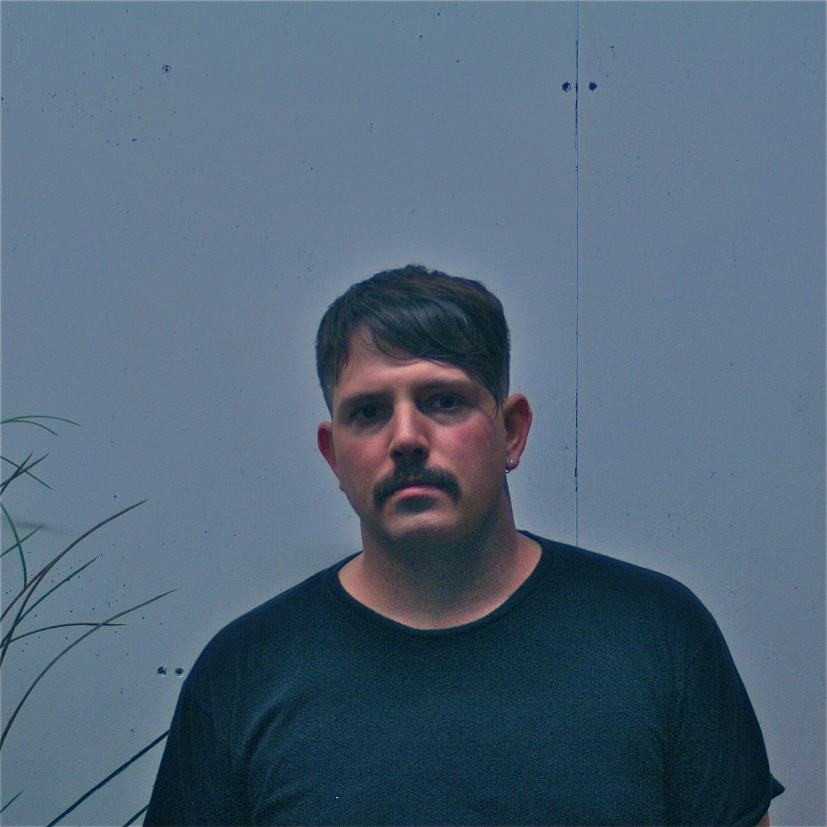 ...a solitary bird on the roof | peter guinta