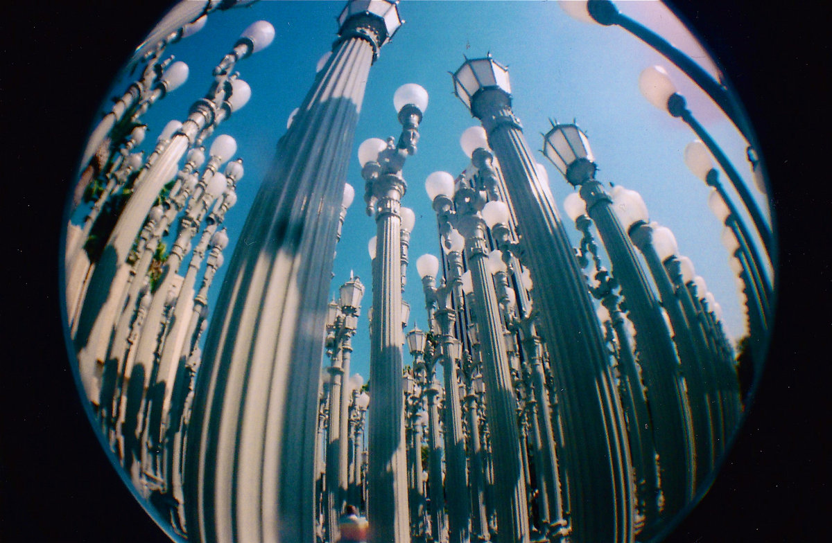 A Snake Coming Out Of A Skull Eye Socket Tattoo | Iconic Splendor