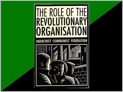 The Role of the Revolutionary Organization booklet | Inhumane Nature