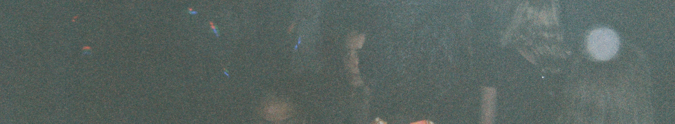 Leash Aggression | pigeon pit