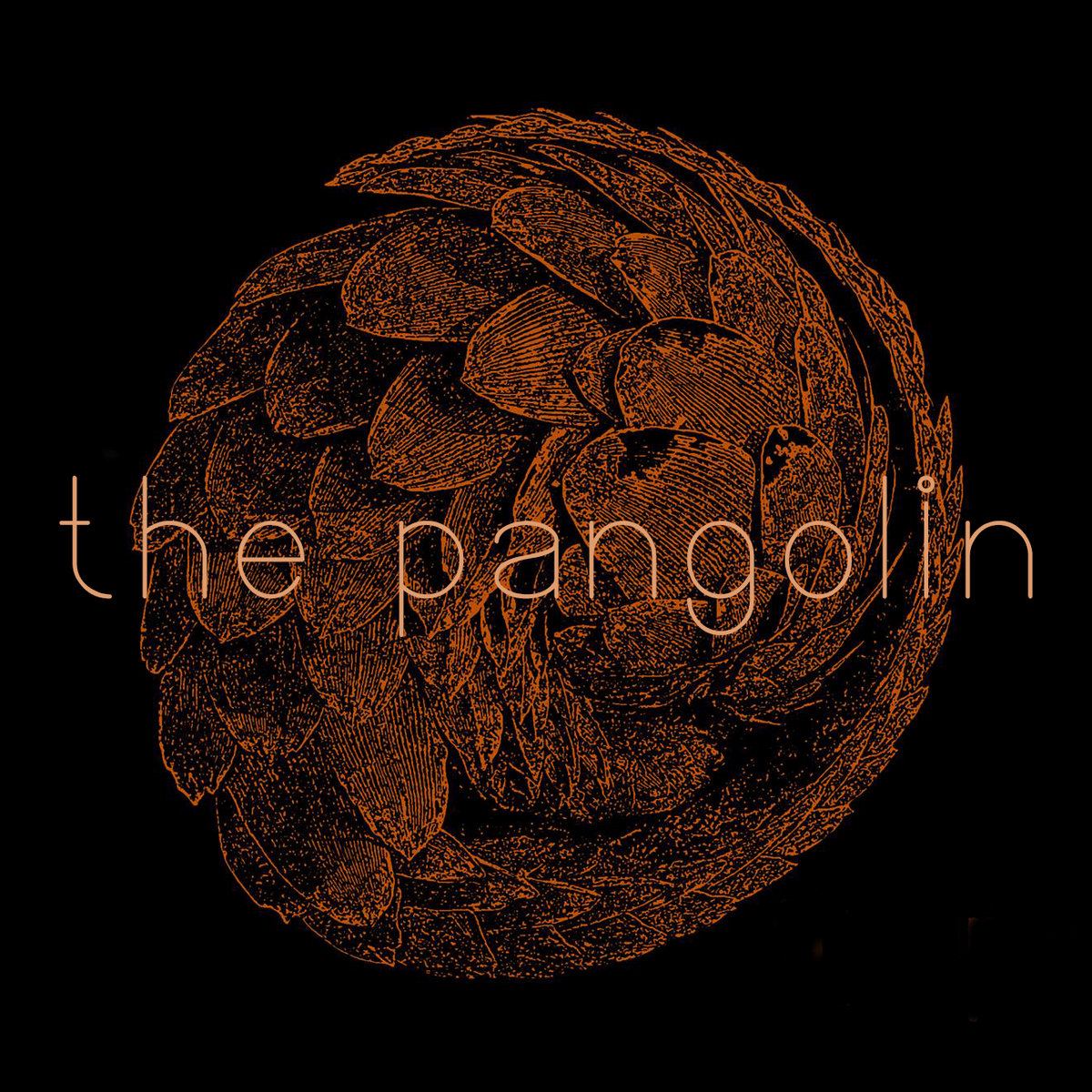 We Sound Like This | The Pangolin