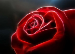 Music | Forty Roses