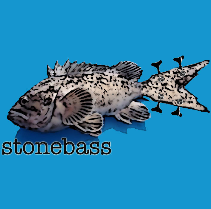 Stonebass | Stonebass