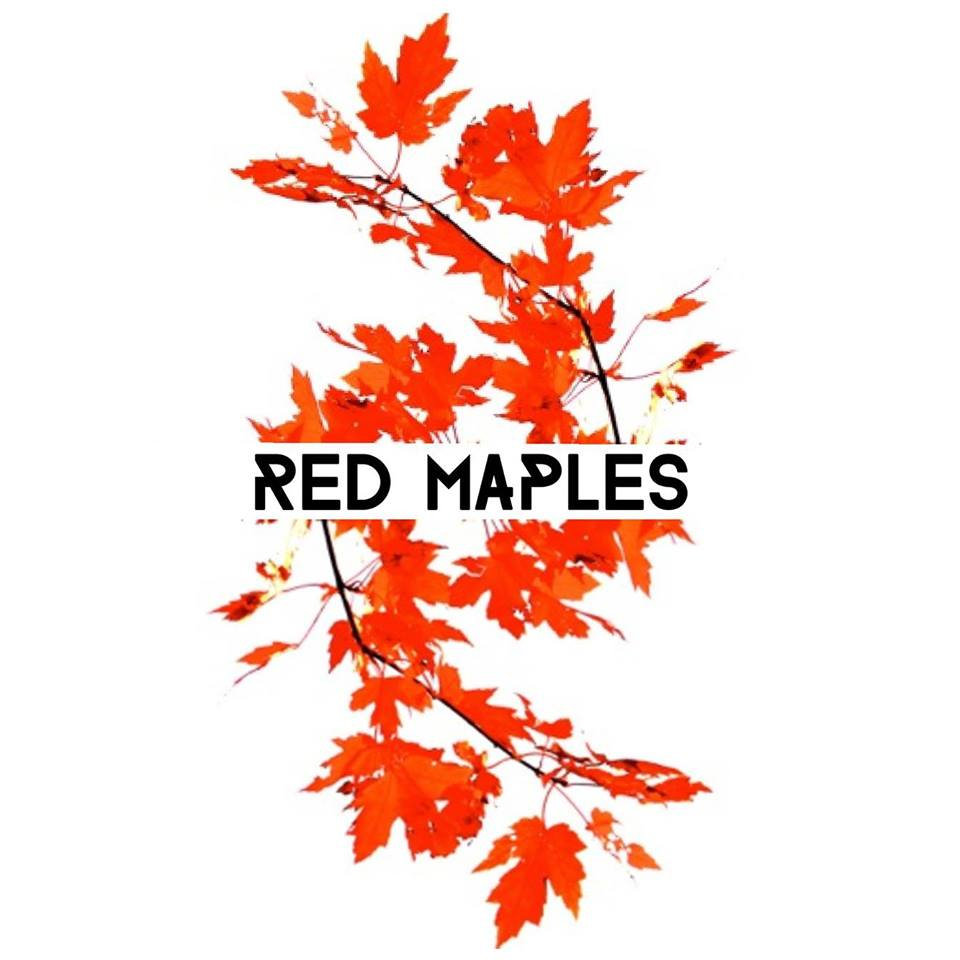 red maples | Red Maples