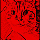 Horror Show Style | Flowdan