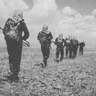 Bashed Out | This Is The Kit