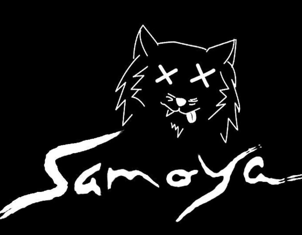 Chemistry And Ruff Stuff | Samoya