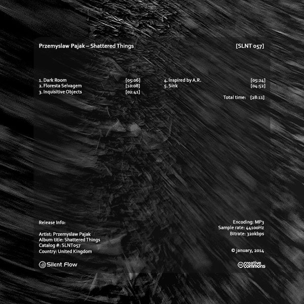Shattered Things | Przemyslaw Pajak