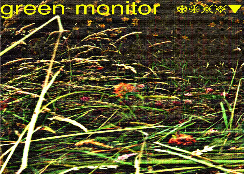 green monitor | Greenmonitor