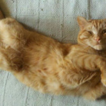 asherjackson's collection | Bandcamp