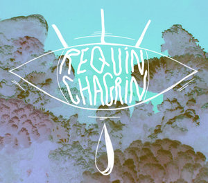 Music | Requin Chagrin