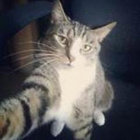 Matrix Downloaded 001 | Alfa Matrix