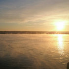 Lazarus Bird | Burst