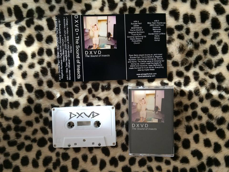 The Sound of Insects | DXVD