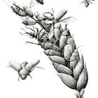 SLOW WARM DEATH | Slow Warm Death